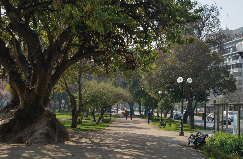 PARTICIPACIÓN CIUDADANA: MEJORAMIENTO PARQUE BALMACEDA